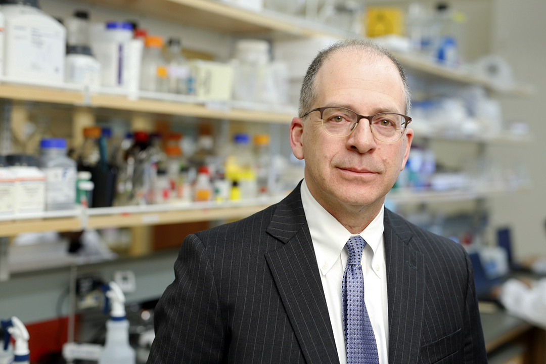 U of S researchers awarded 12 SHRF Collaborative Innovation Development ...